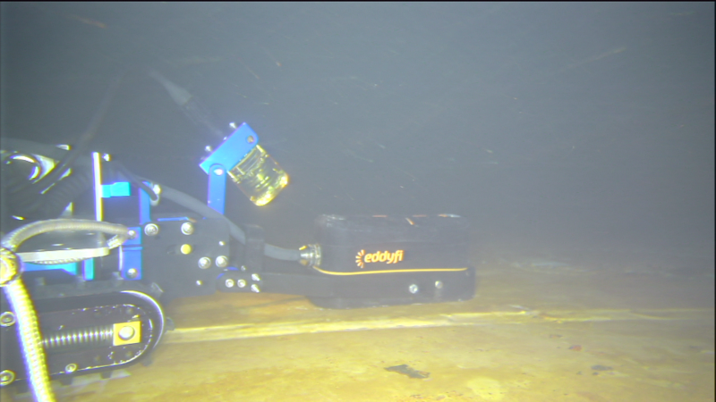 Maximizing Offshore Integrity Assessments While Minimizing Marine ...